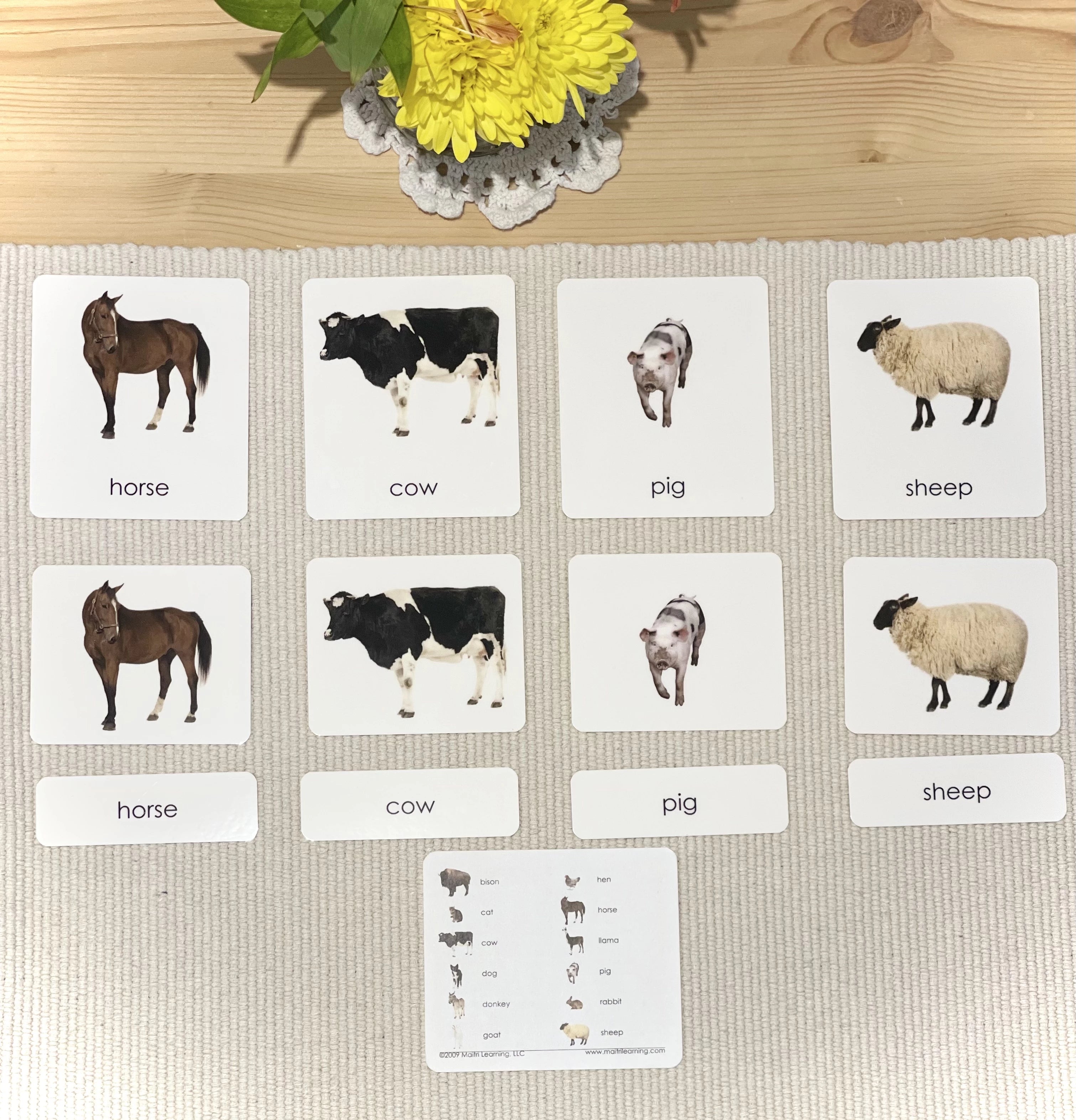 Language Cards – FSL Montessori Supplies